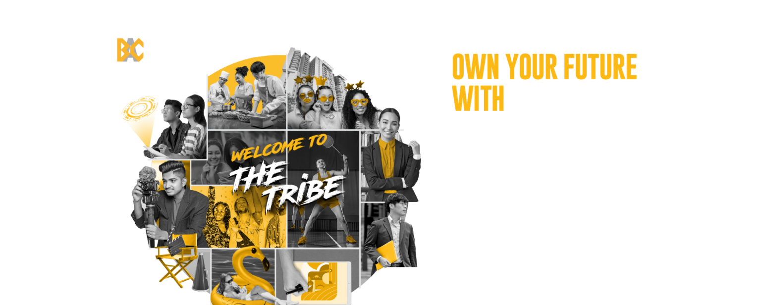 Degree | BAC Education